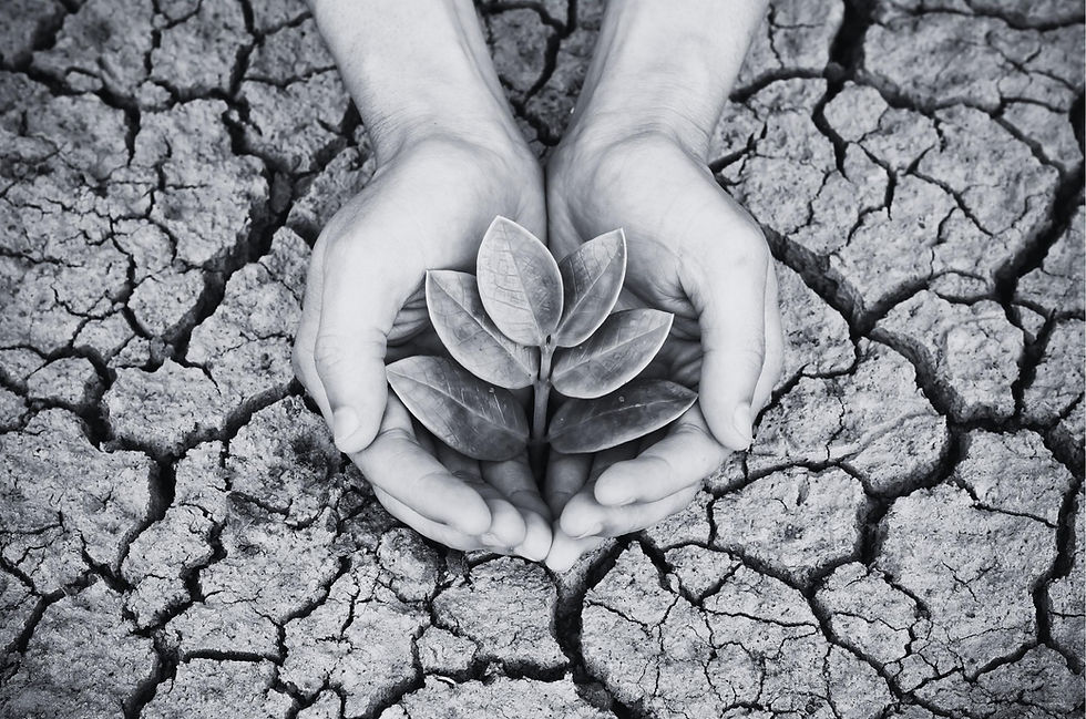 Structural Engineering Entuitive